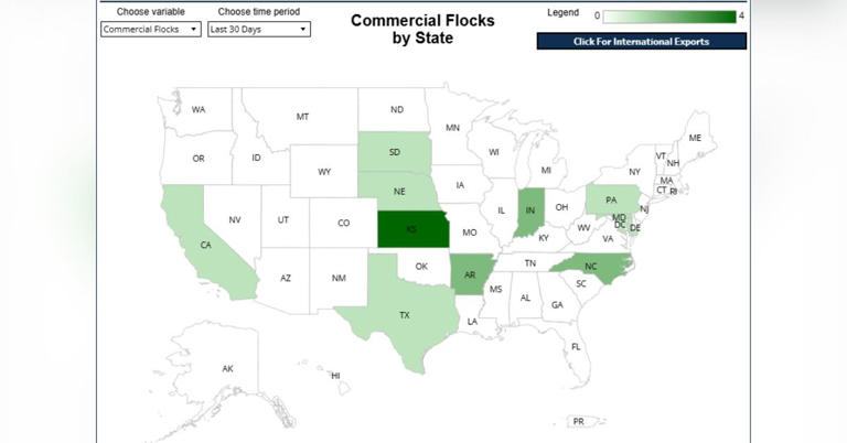 Kansas bird flu outbreak is the worst in the US., nearly 414,000 affected