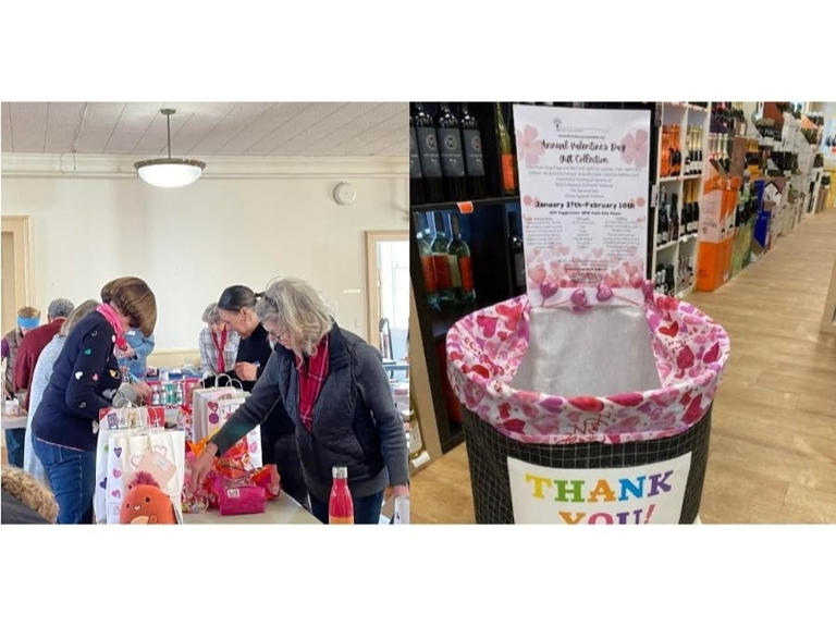 Sudbury-Wayland-Lincoln domestic violence roundtable to collect items ...