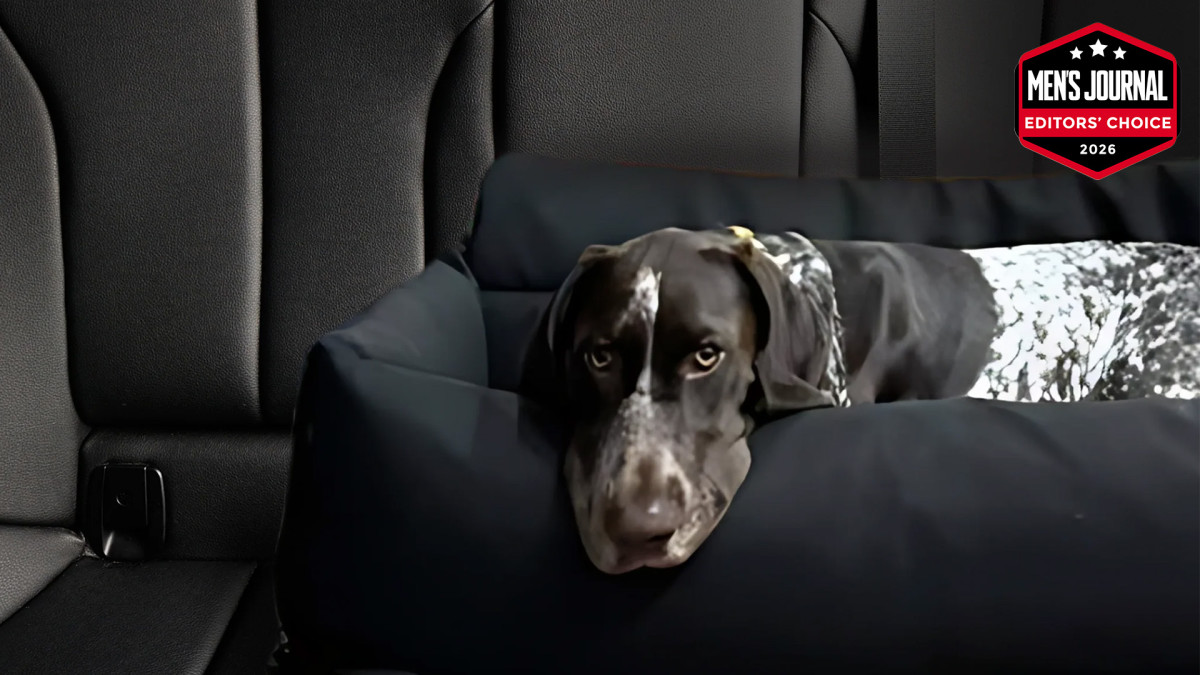 This $289 dog bed solved my backseat chaos—and my dogs are obsessed
