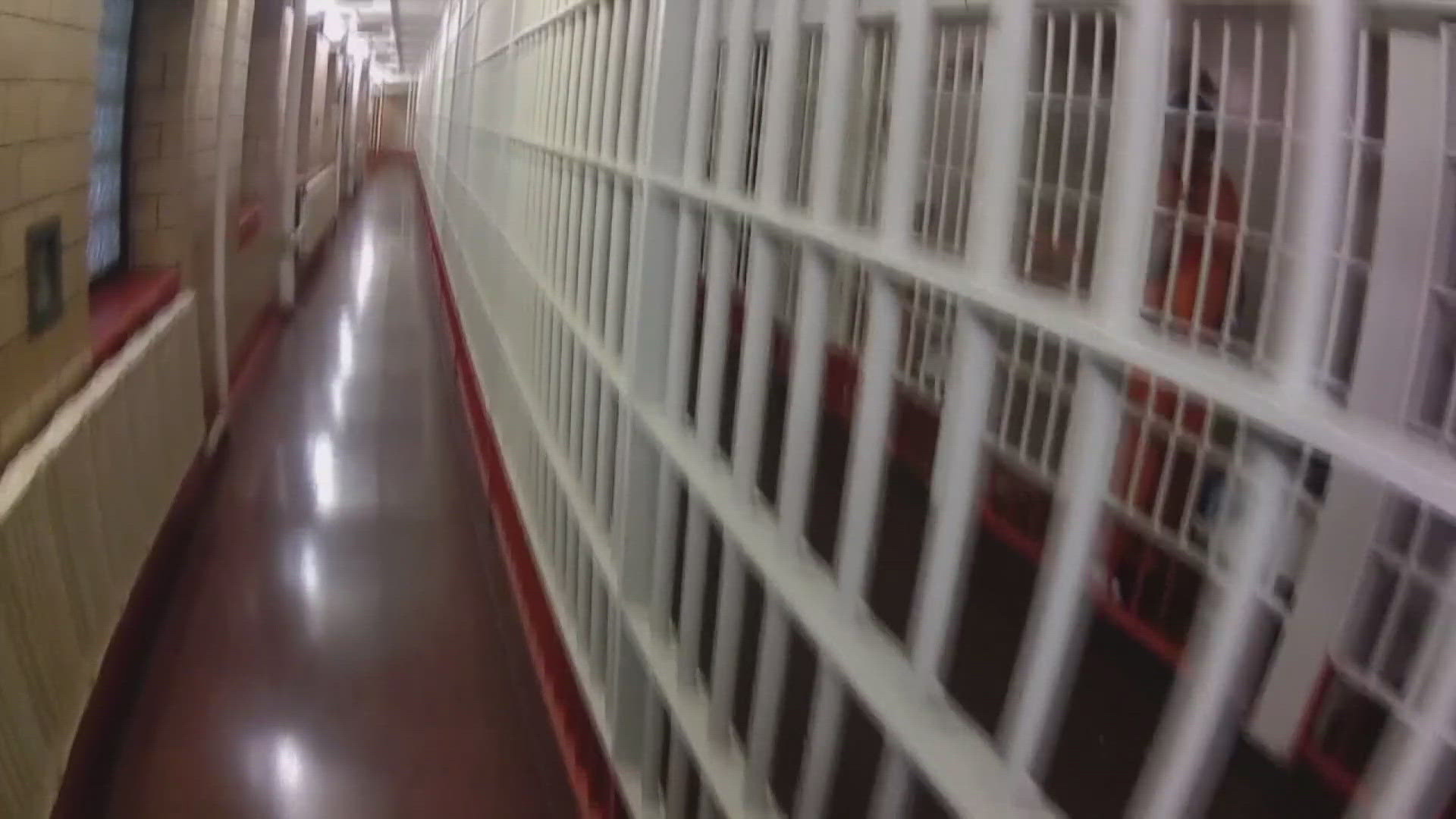 Bojak, Deese join NYS Assembly 149 race