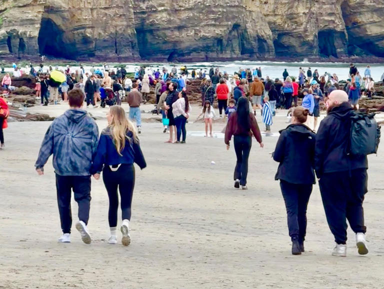 Huge crowds crawling around tide pools cause concern in La Jolla