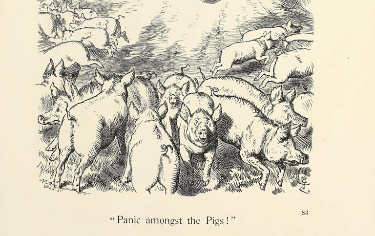 The 1990s panic over "phantom social workers" trying to abduct children