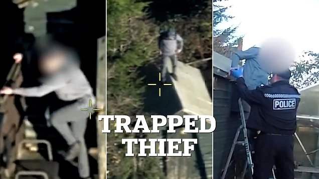 Suspected thief caught after getting stuck on shed roof