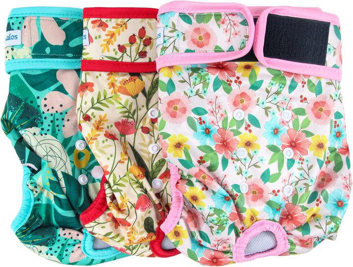 Thinking of adopting a senior dog? Let's get you ready!