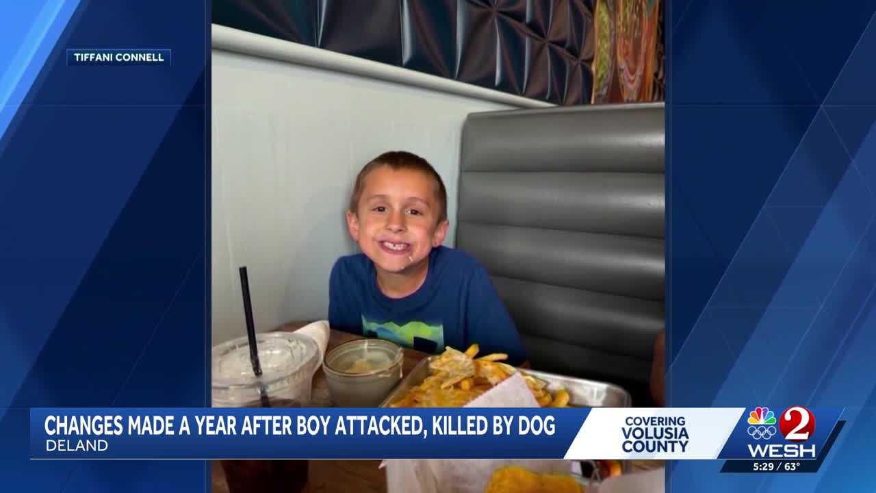 A fight for justice: One year after 8-year-old Michael Millett was killed in a dog attack