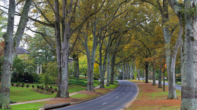Charlotte's most well-known trail is a wildly scenic loop beloved by ...