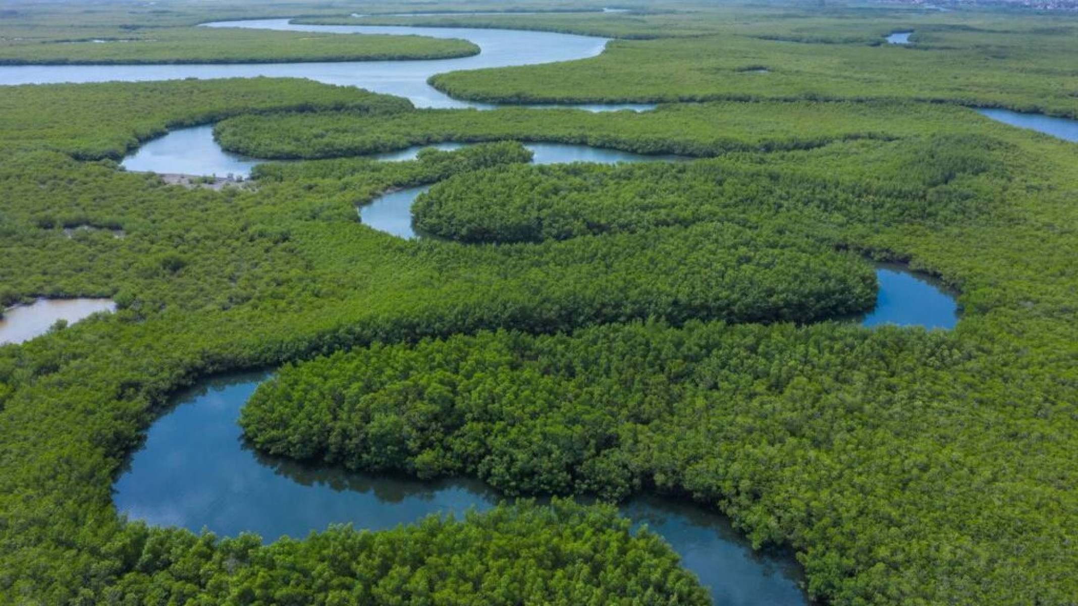 Enclave do Rio Gâmbia: quando a história criou um país à parte