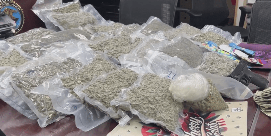 Brothers in custody following 'significant' Russell Co. drug bust