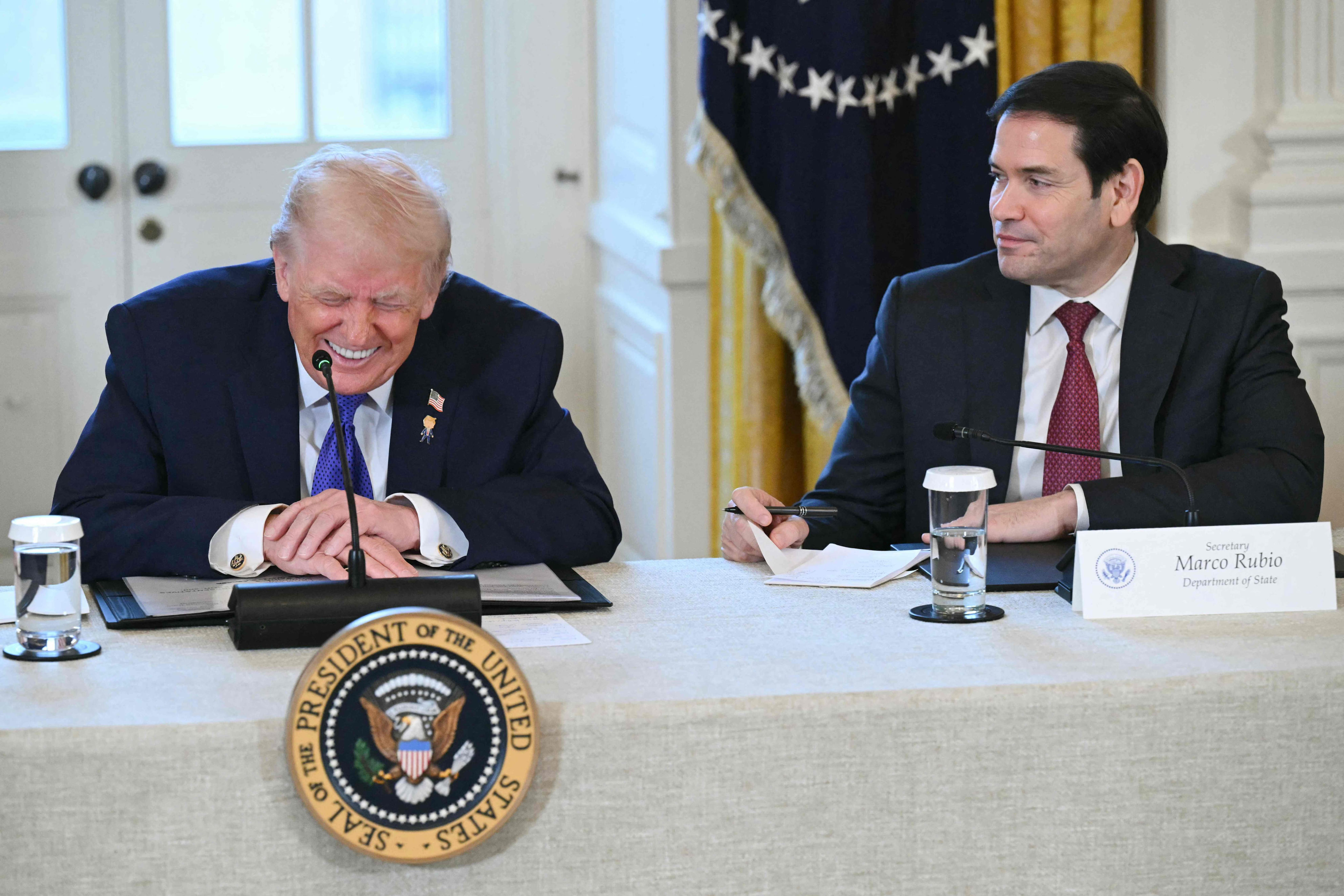 Rubio's multiple roles fuel Cuba presidency speculation