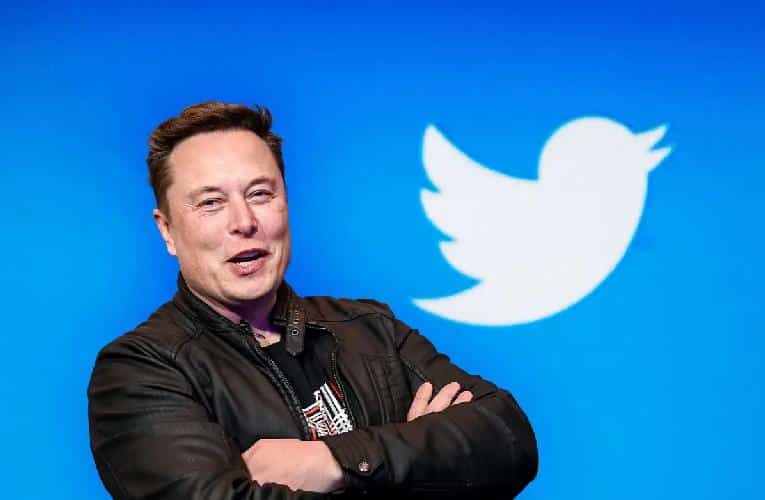 Elon Musk backs 'white solidarity' post on X