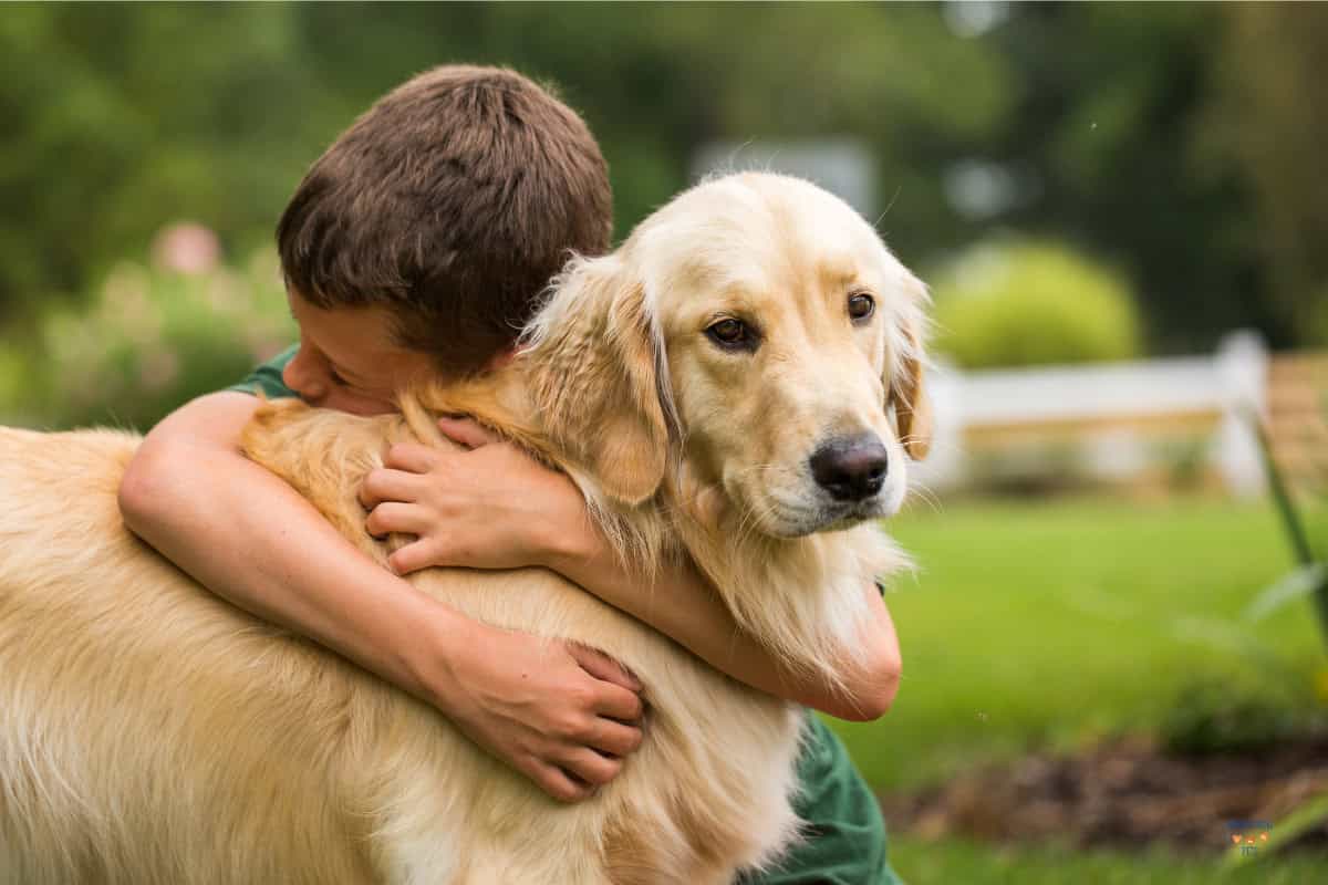 Looking for a family dog? These 16 breeds are total naturals with kids.