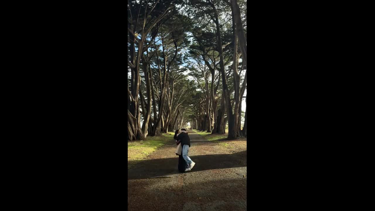 Surprise proposal during a couple shoot at Cypress Tree Tunnel in ...