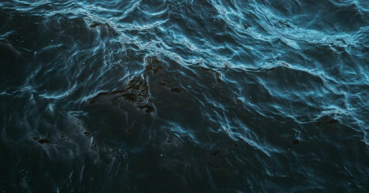 Newly discovered jellyfish looks like a creature from the 'Avatar' universe