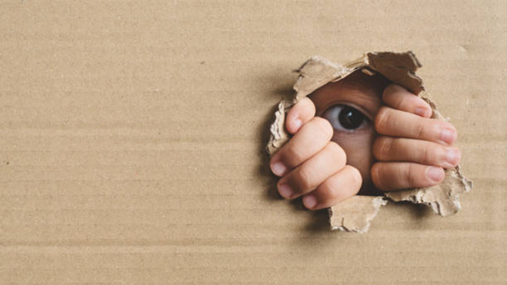 SC releases 2025 human trafficking report, spotlights minors as victims