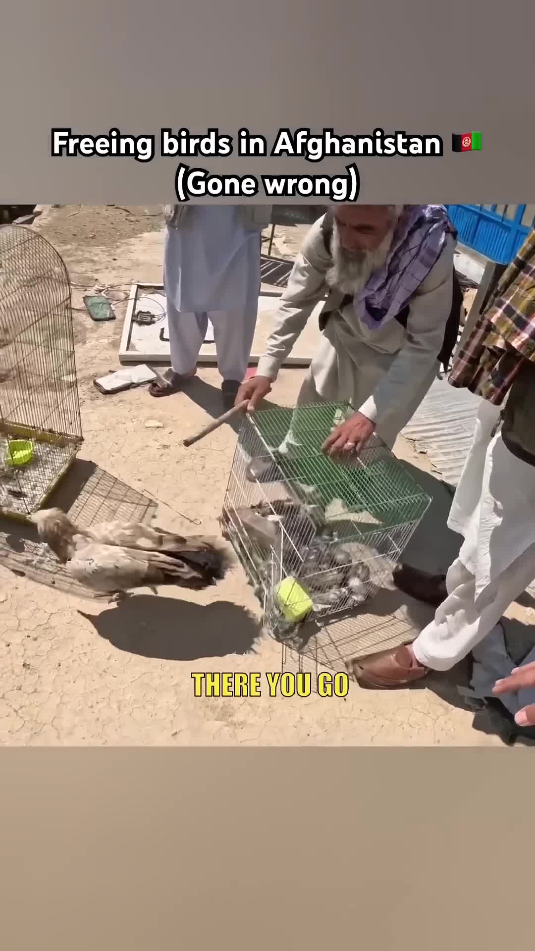 My biggest travel fail: The truth revealed