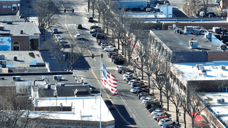 West Hartford plans tree removal as next phase of Town Center project ...