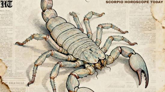 Scorpio horoscope today for January 13, 2026: Pursue one priority at a ...