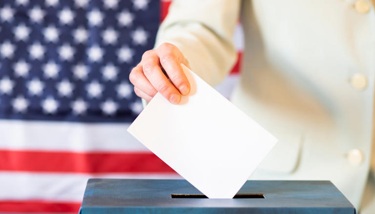 Sample ballots available, special provisions offered for Feb. 10 election