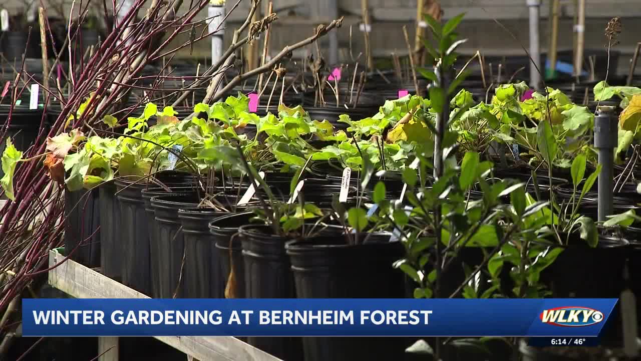 Getting your garden prepped now for spring with Bernheim Forest