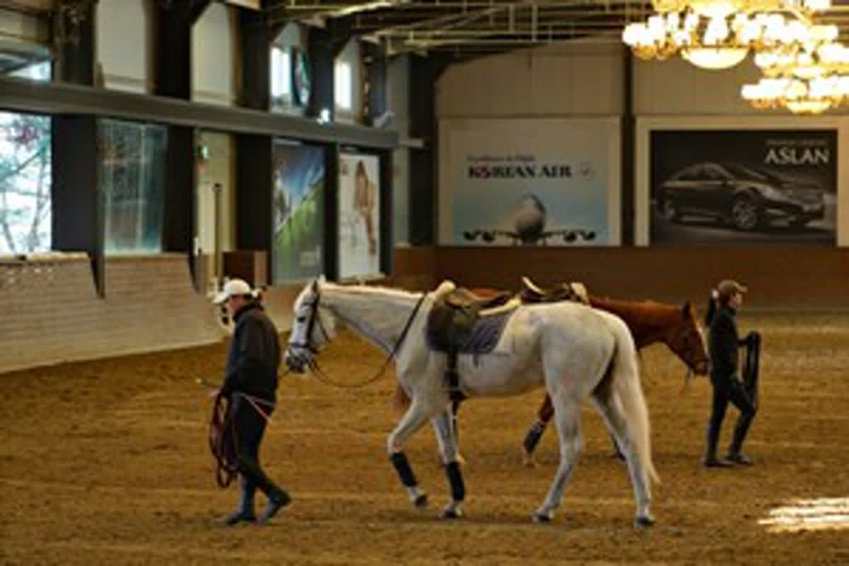 승마 클래스 등 초호화 경험…백화점, VIP 록인(Lock-in) 전쟁