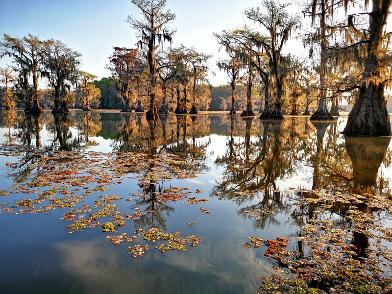 These Texas spots locals say are better than any famous attraction