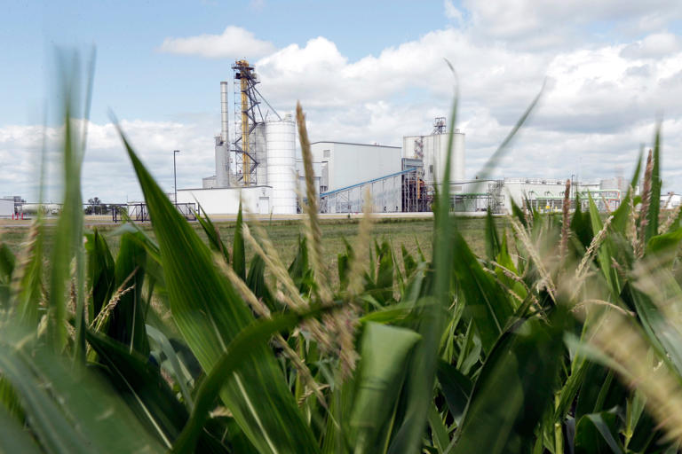Iowa ethanol industry blames 'stagnant' production on lack of carbon ...
