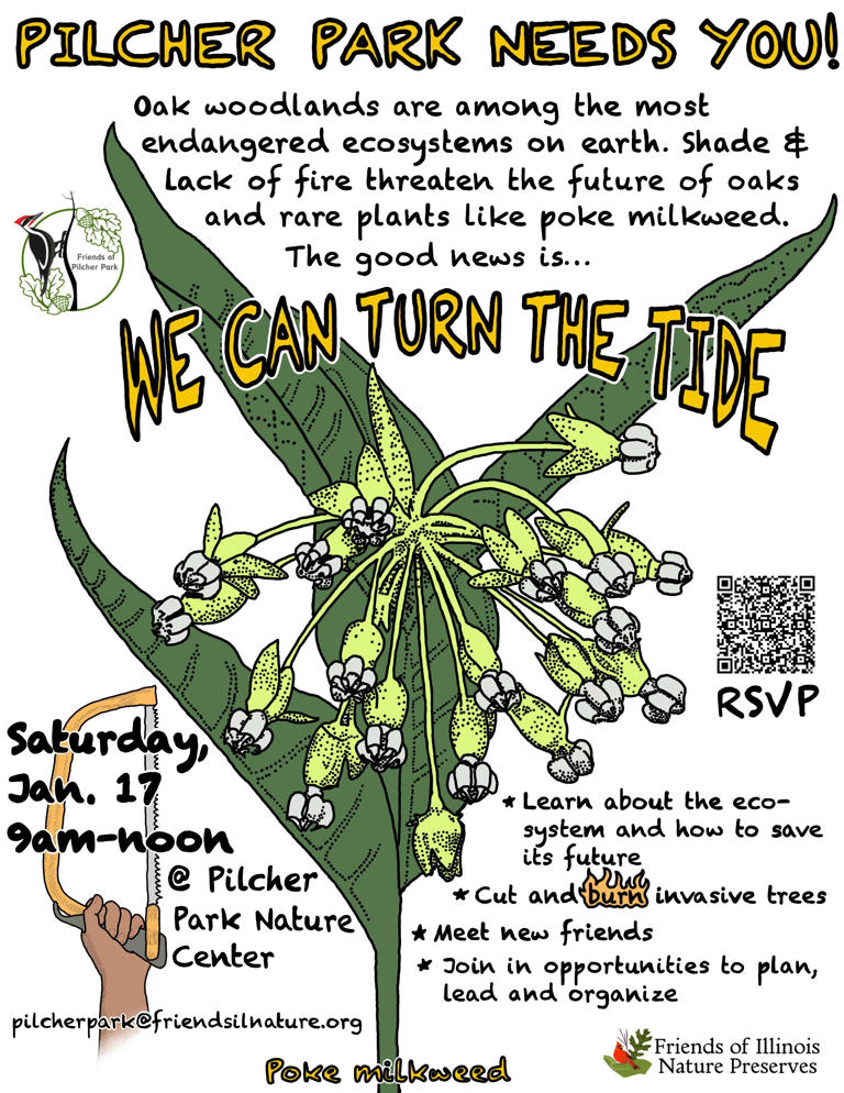 Pilcher Park winter eco-restoration kickoff: Wear sturdy shoes, warm ...