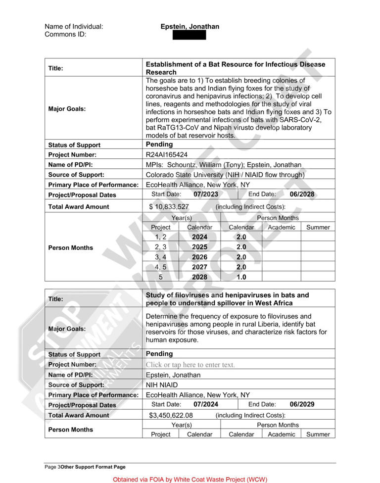 Sen. Ernst, Rep. Gosar demand NIH halt $3M in funding for Fauci’s 'bat ...