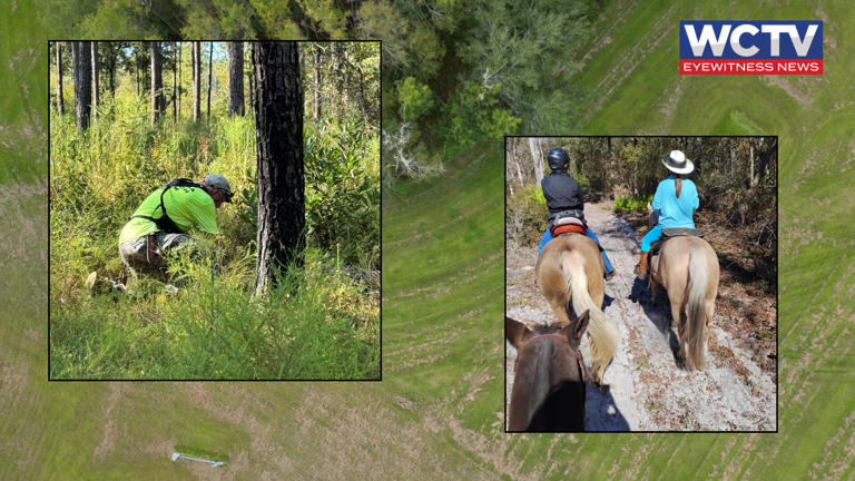 North Florida Search Team steps in to bring the missing and lost home