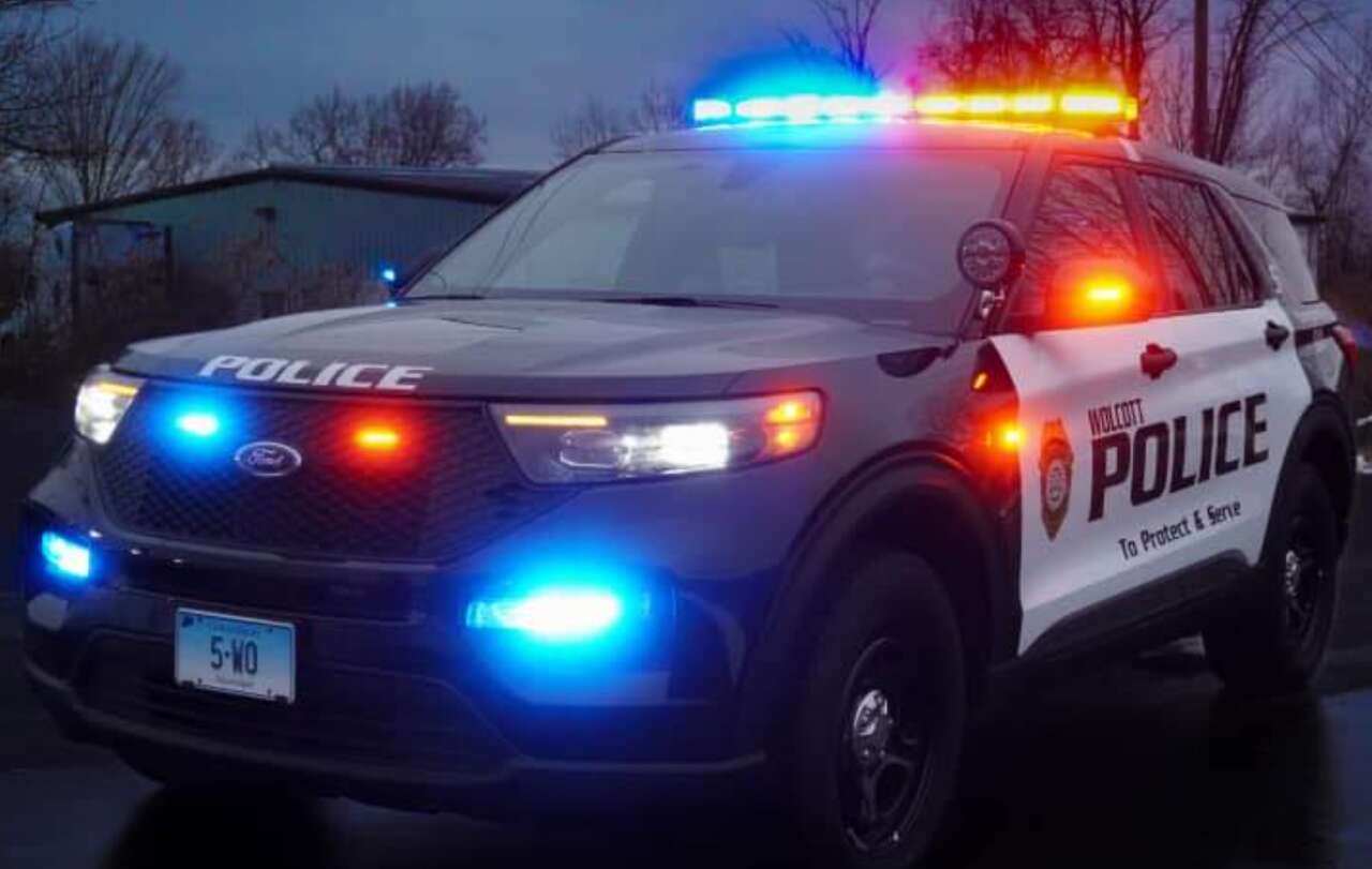 Animal rights group offers $5K for info on pit bull found dead in Wolcott