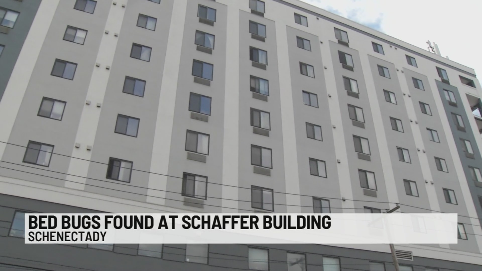 Bedbugs found at Schaffer Heights building in Schenectady