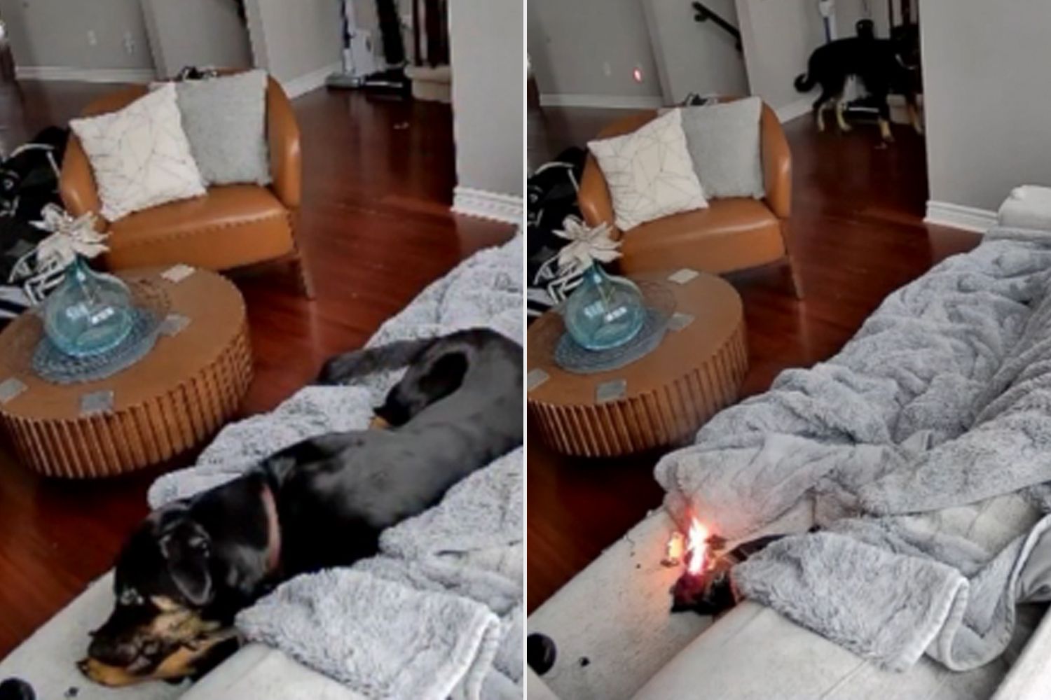 Dangerous battery fire starts feet from dog after pet chews through ...