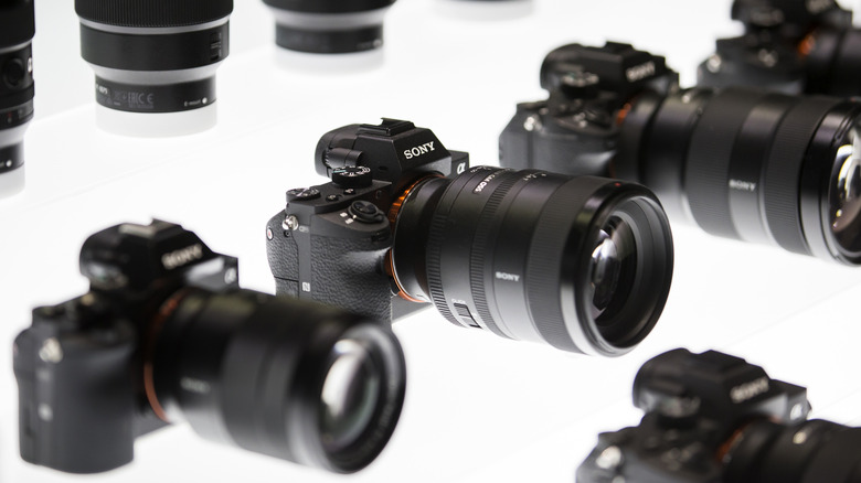 Major camera brands ranked worst to best