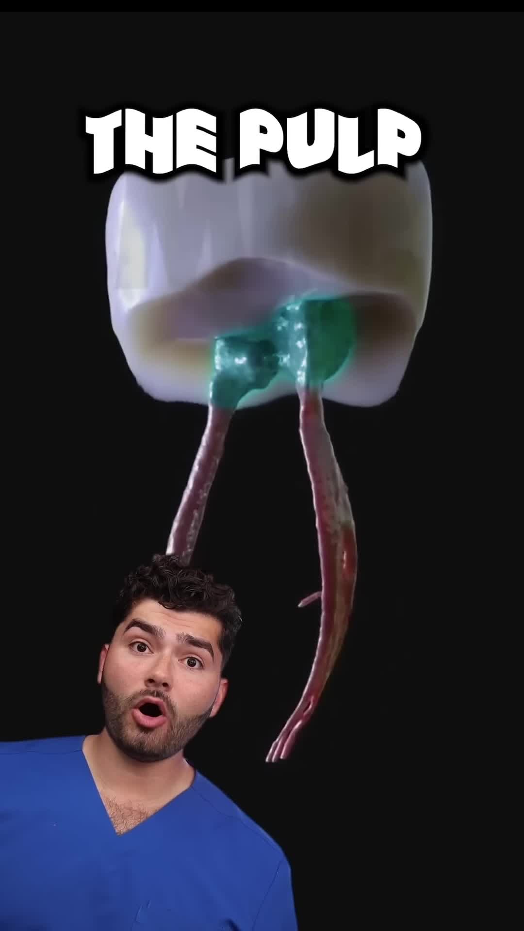 What’s inside teeth?