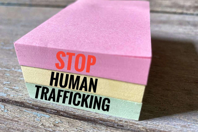 Texas licensing agency steps up fight against human trafficking in ...