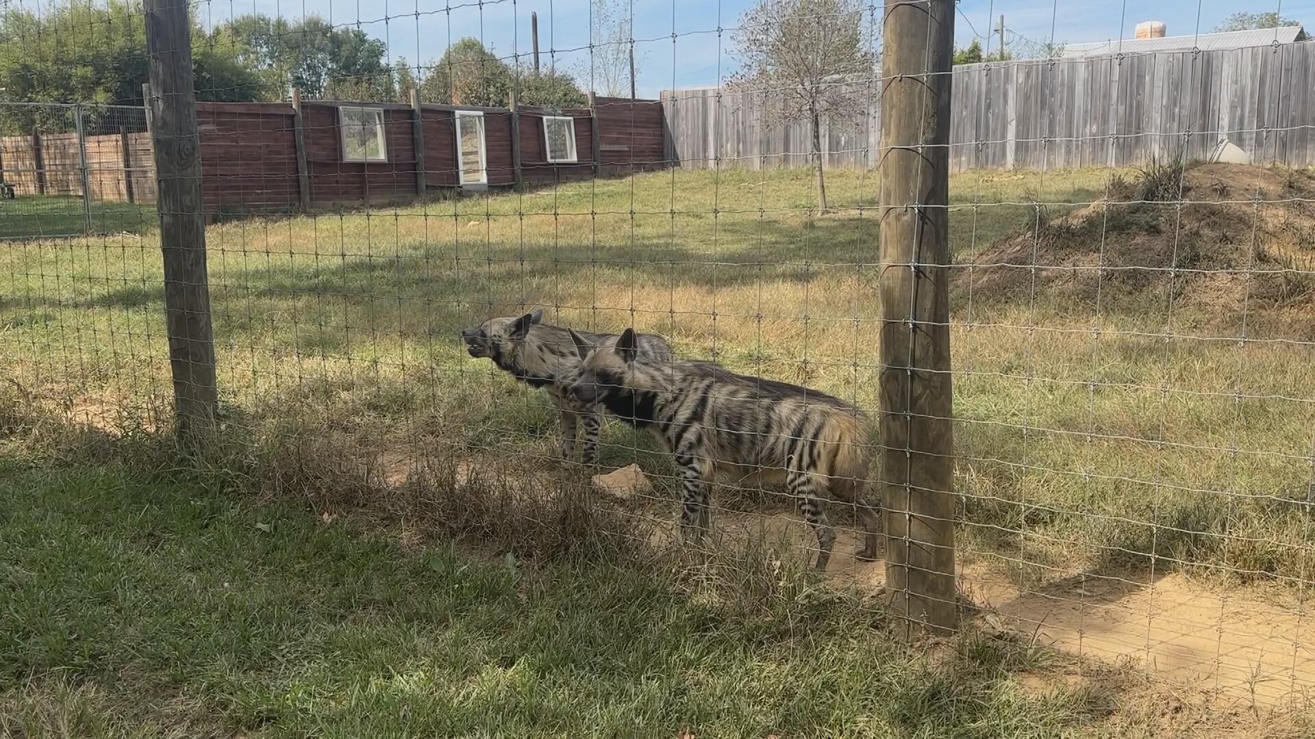 Owner of Magnolia Wilds in Ethel puts park up for sale