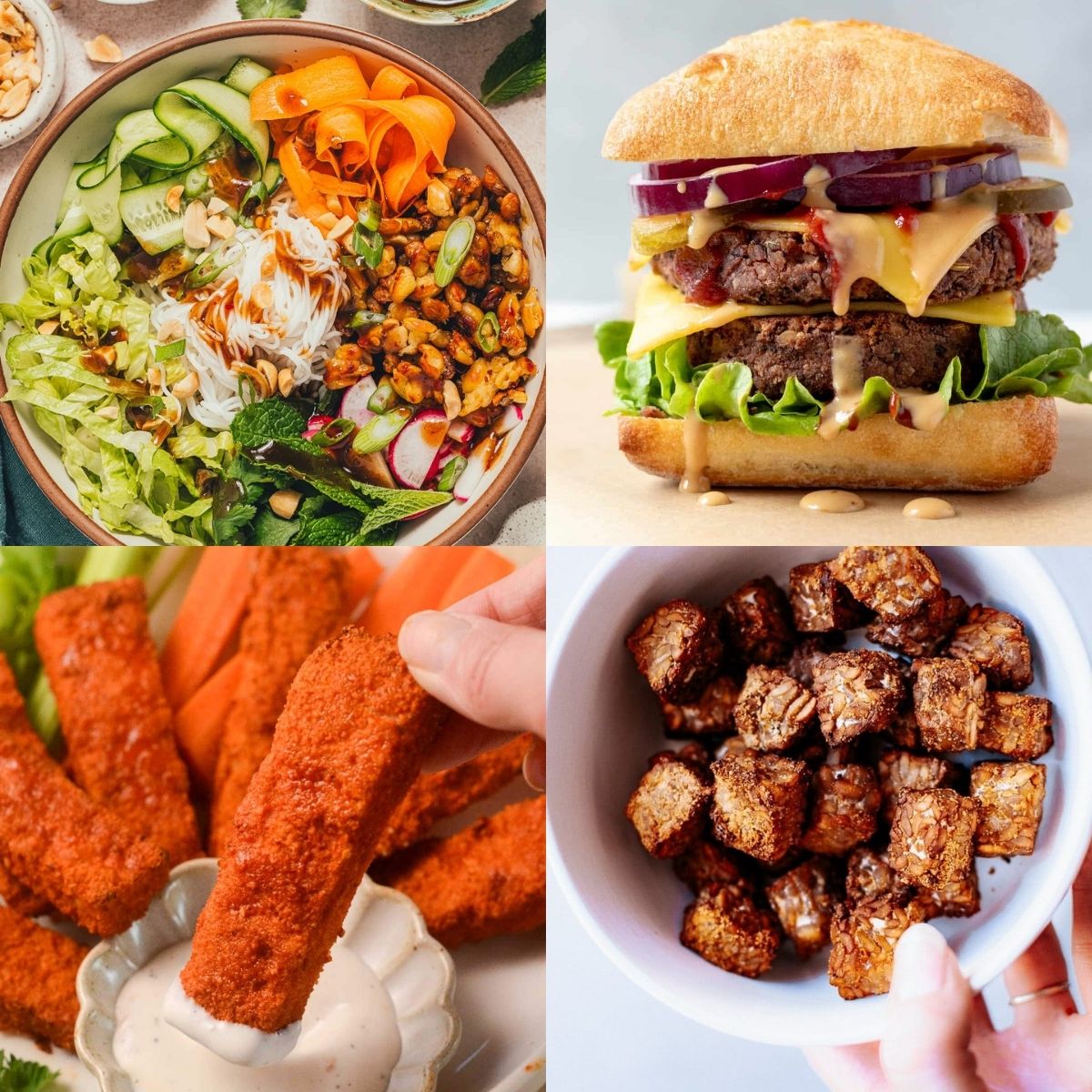 15 vegetarian tempeh recipes