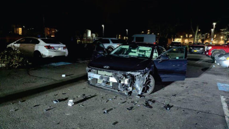 Man shot by Border Patrol in Portland, Oregon, is charged with ...