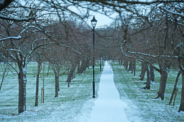 In pictures: 15 fantastic photos of people enjoying the first snowfall ...