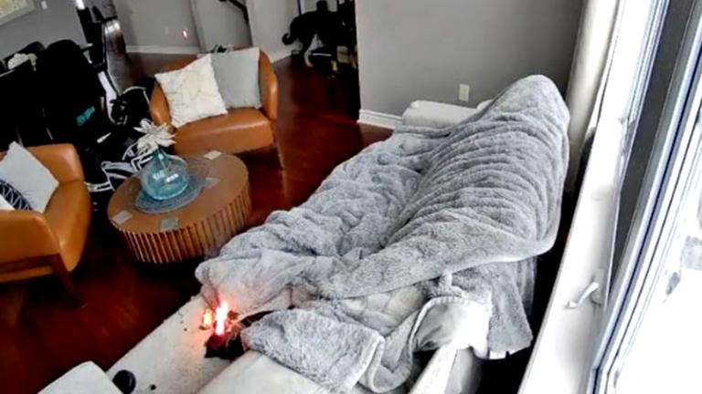 Family dog rescued after chewing battery-powered heated glove, sparking ...