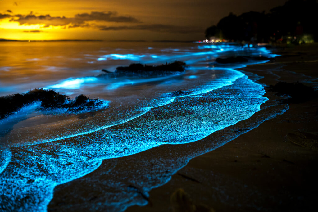 30 natural phenomena that feel completely unreal
