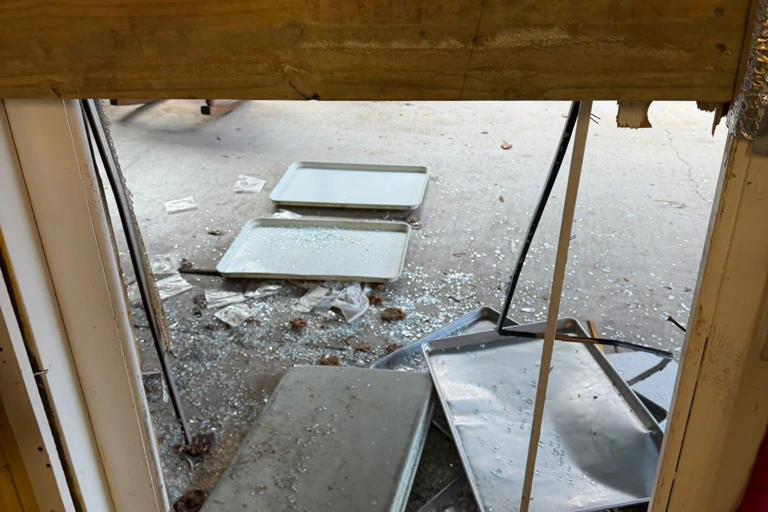 Tennessee candy store ransacked by bear for the fourth time