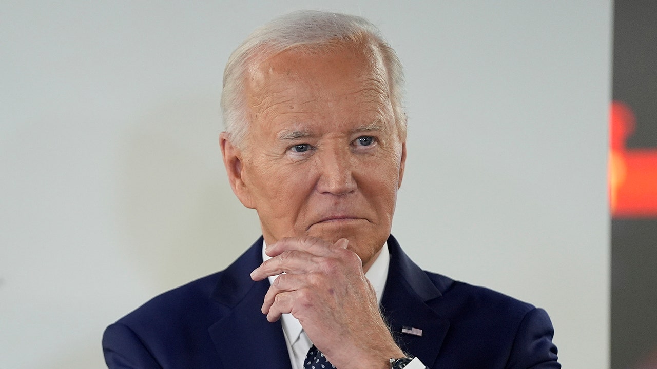 Minnesota fraud scandal sparks push to scrutinize billions in Biden-era ...