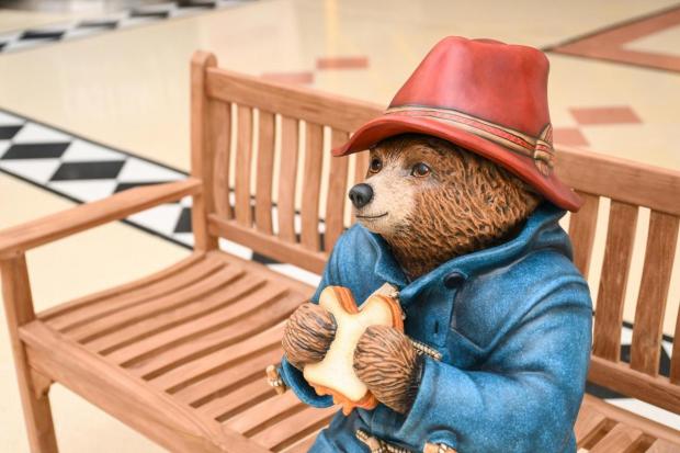 Popular County Durham Paddington Bear steam train rides to return later ...