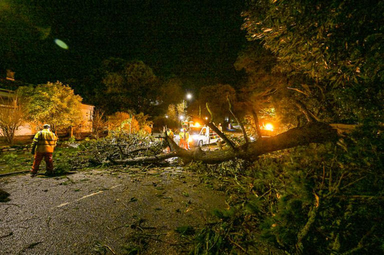 Man killed by falling tree in Storm Goretti named