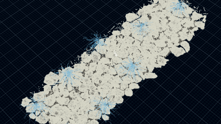 Formless, faceless, directionless: Earthworms defy architectural logic