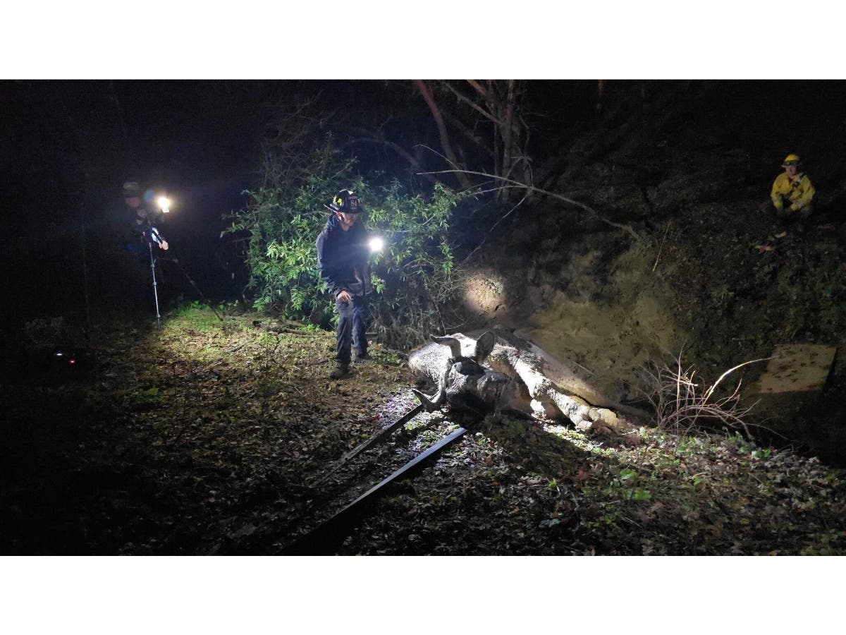 Even the biggest call — how firefighters rescued Bob the steer from ...