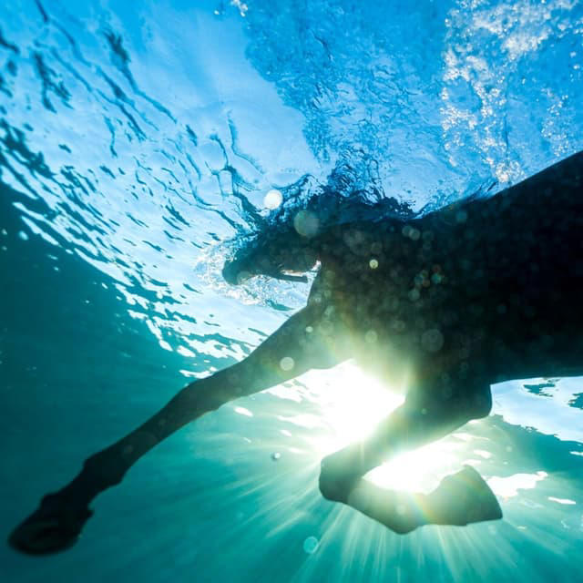 10 albums that we’re seriously looking forward to in 2026, including ...