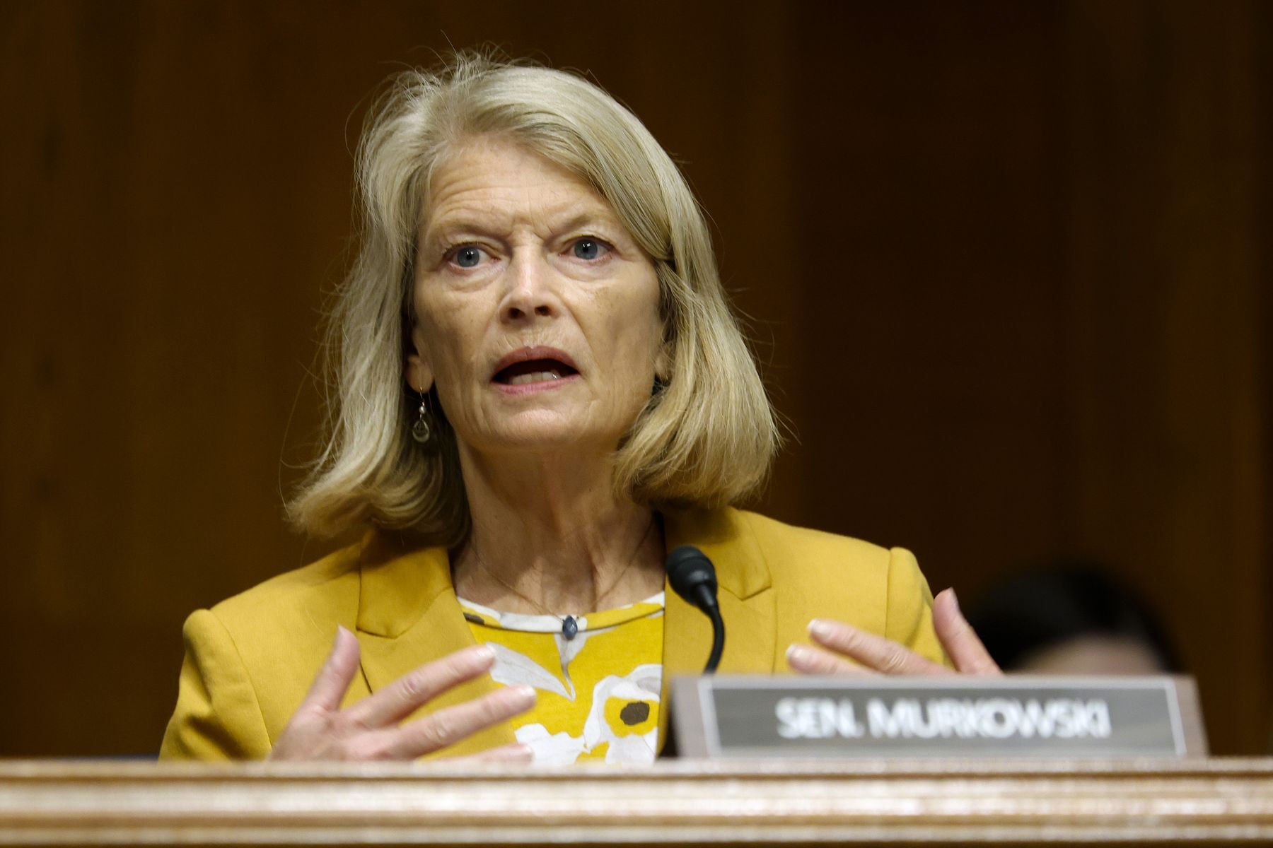 Renee Good: US-Kongress erwägt Maßnahmen gegen ICE