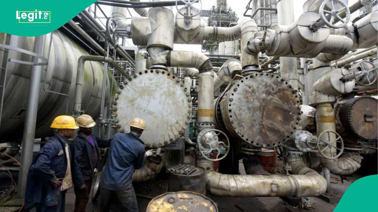 Sell or repair: PETROAN advises FG on what to do with abandoned refineries
